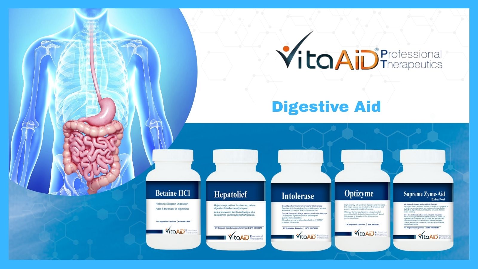 VitaAid Digestive Aid – Professional Enzyme & Gut Health Support ...